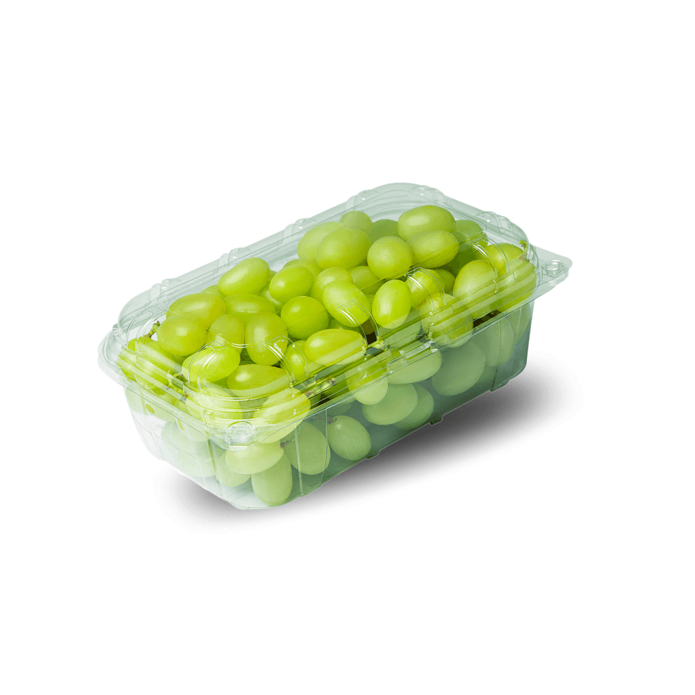 FRUTA UVA THOMPSON BANDEJA 500G - tdc1fe